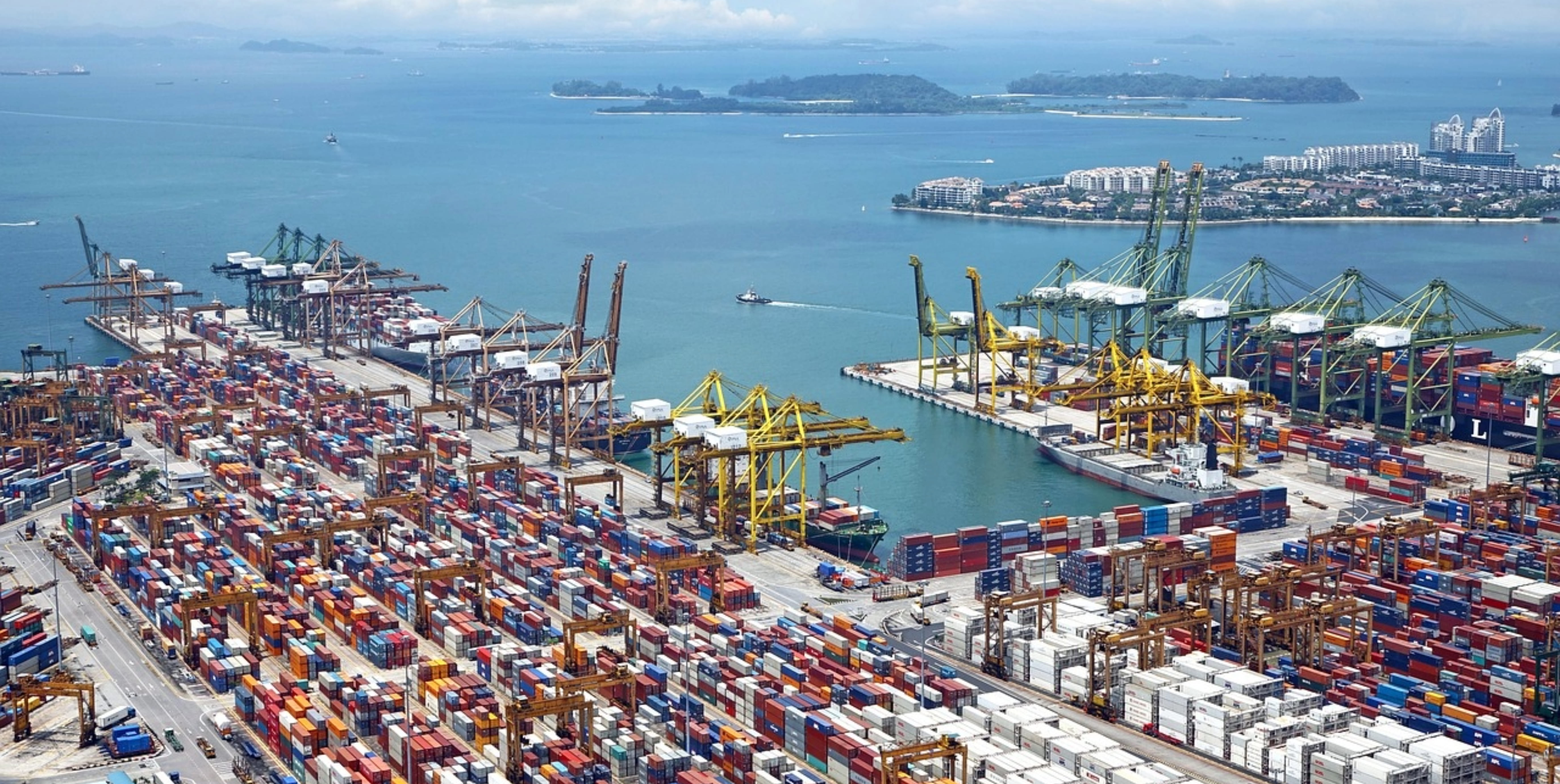 Tout savoir sur le statut d'Opérateur Économique Agréé (OEA) : avantages, critères et reconnaissance